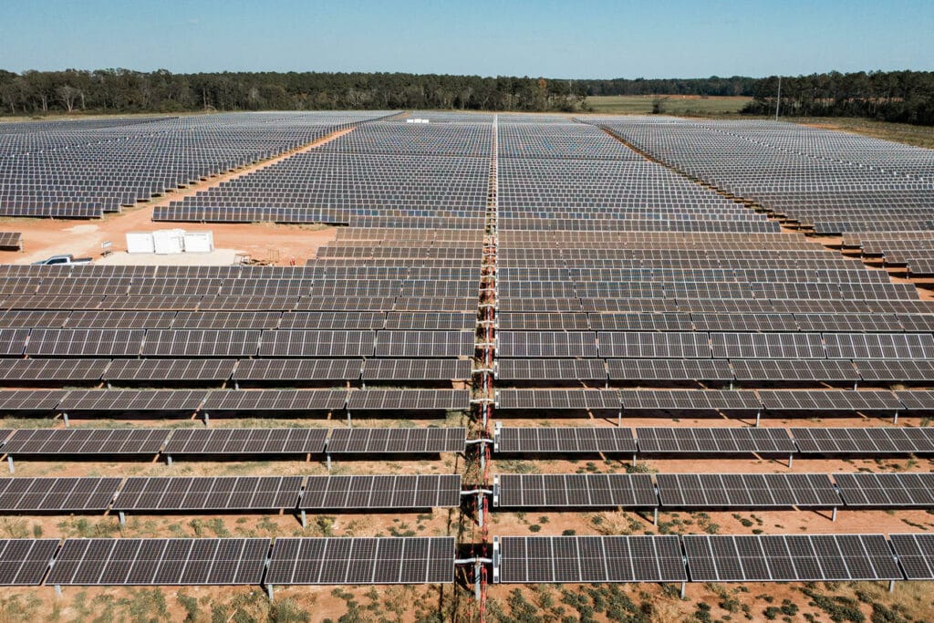 Sheep (and Soil Scientists) Juice Up the Solar Farm – Silicon Ranch