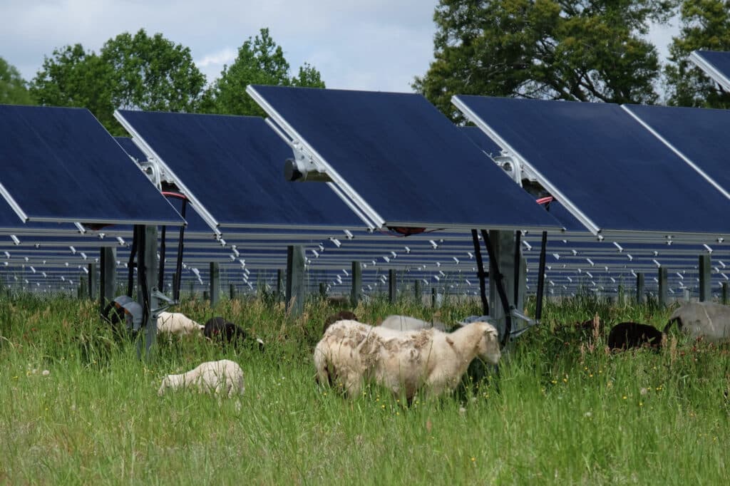 Power to the People and the Farmers that Feed Them – Silicon Ranch