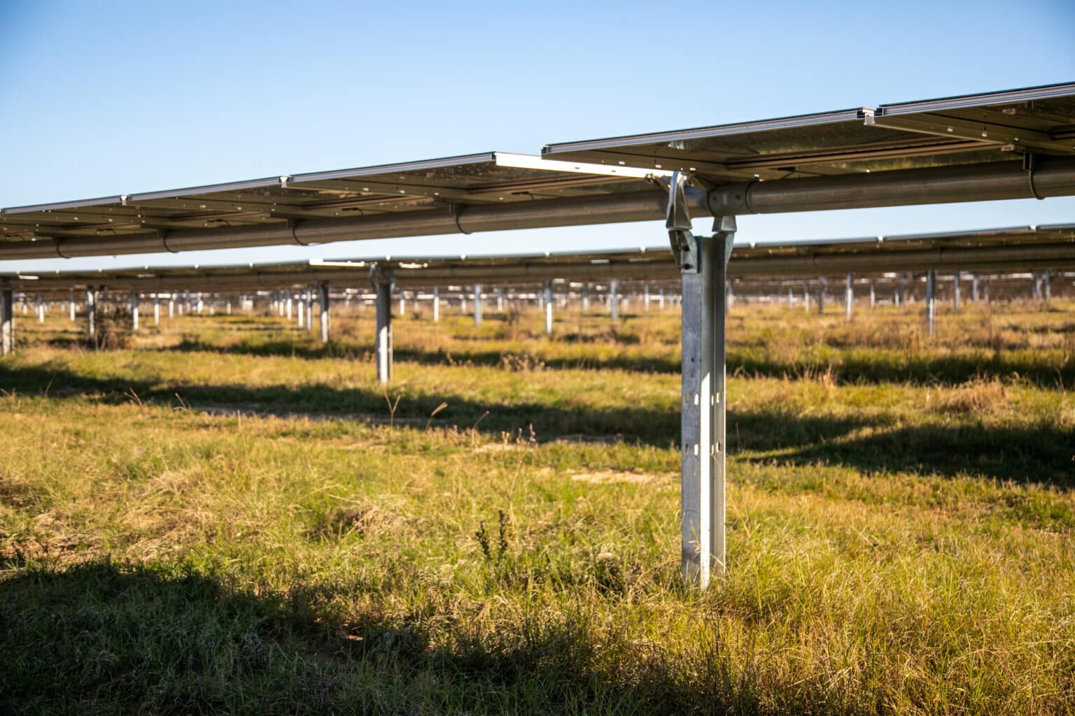 Lumpkin Solar Farm – Silicon Ranch