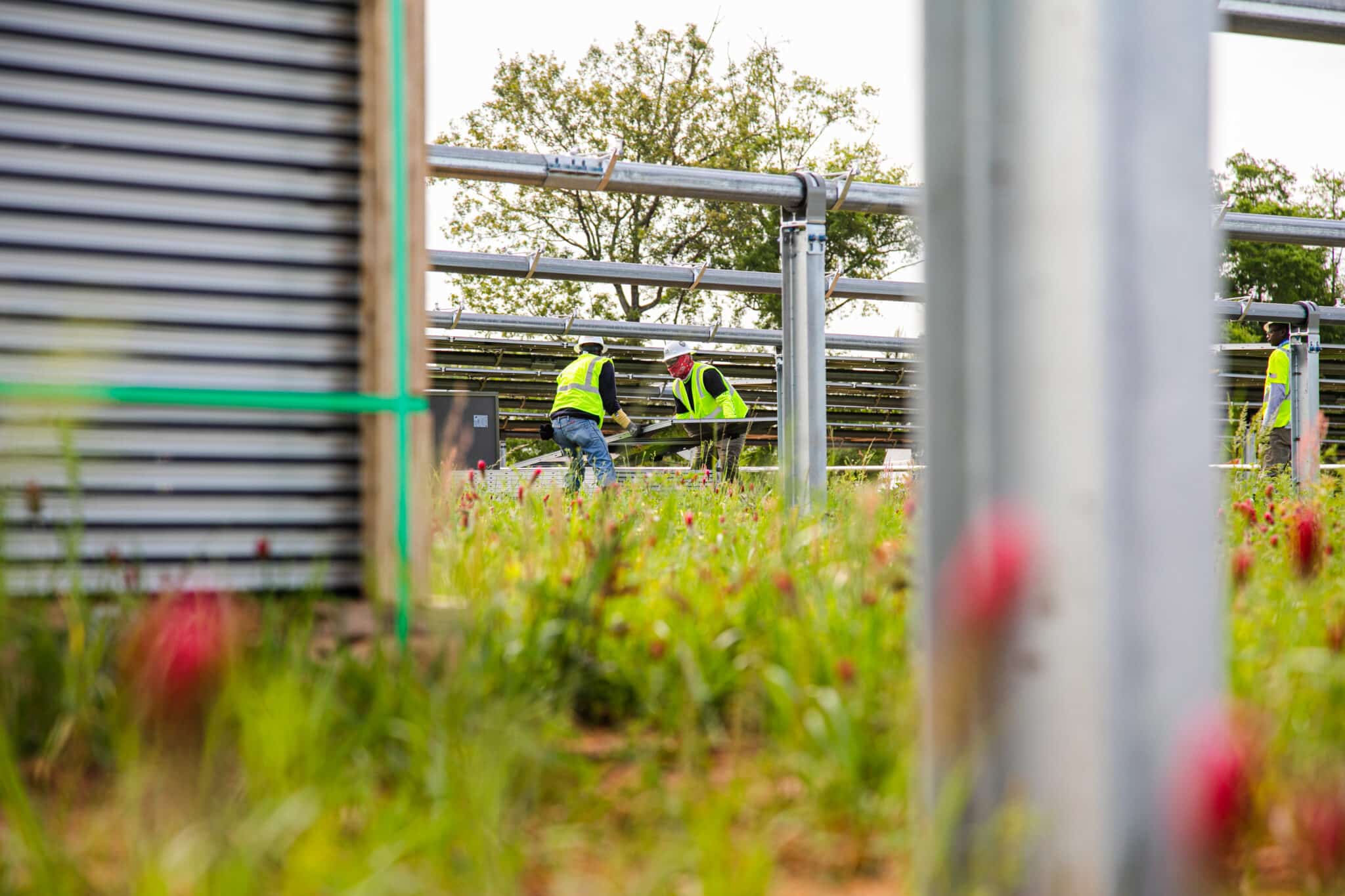 Company – Silicon Ranch