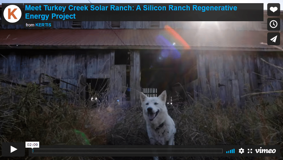Silicon Ranch | Making Solar Do More