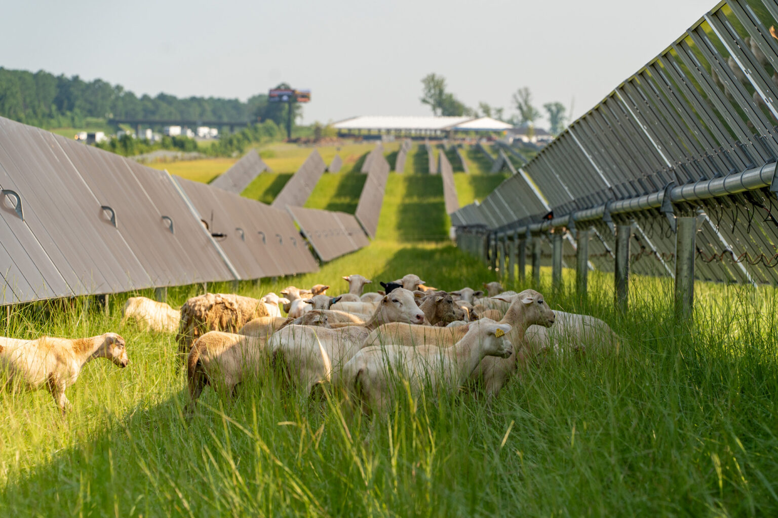 Recent studies find that solar energy development is expected to occupy ...