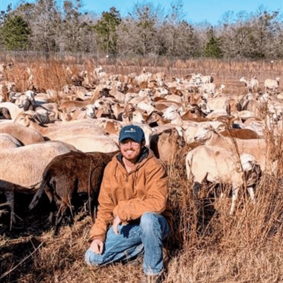 Regenerative Energy & Agrivoltaics | Silicon Ranch