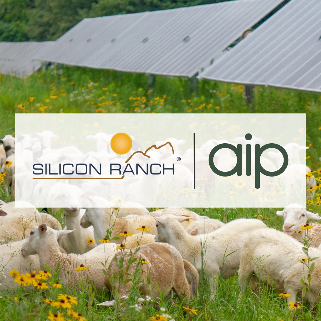 AIP Management to Invest in Leading US Independent Power Producer ...